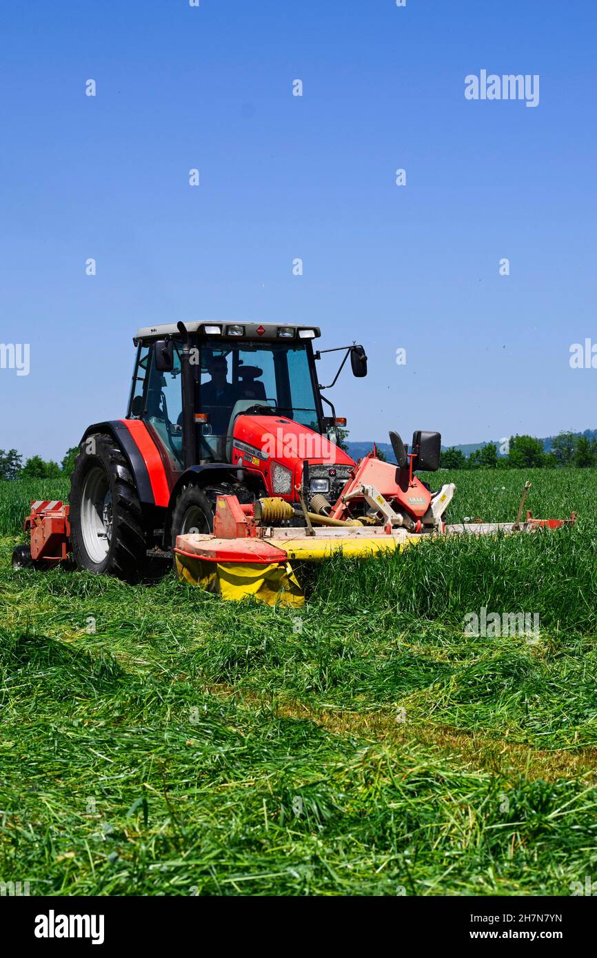 Farmer cutting grass, Massey Ferguson 4355 tractor, Switzerland Stock ...