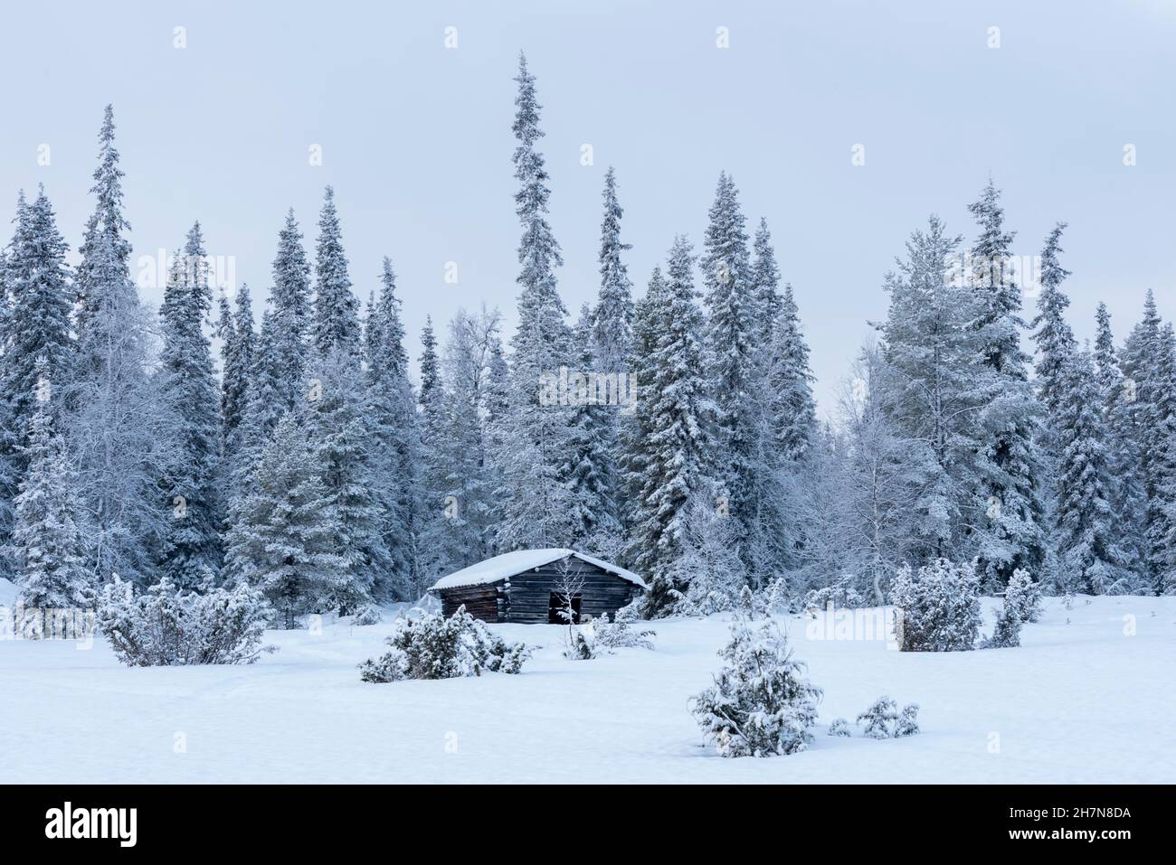 Wooden hut in the forest, Muonio, Lapland, Finland Stock Photo - Alamy
