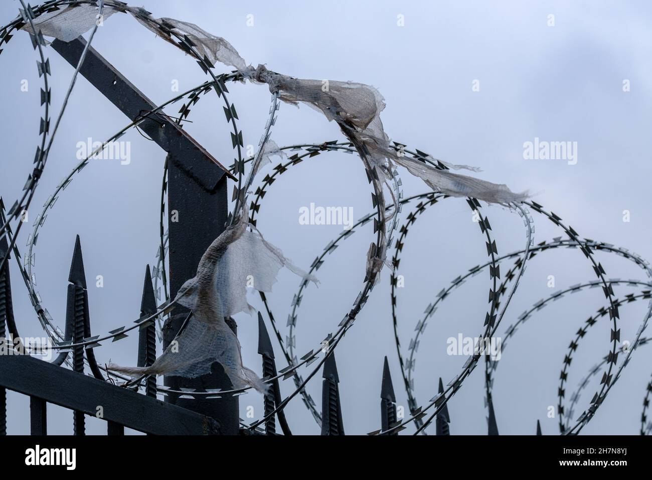 Barbed wire on metal fence Stock Photo - Alamy