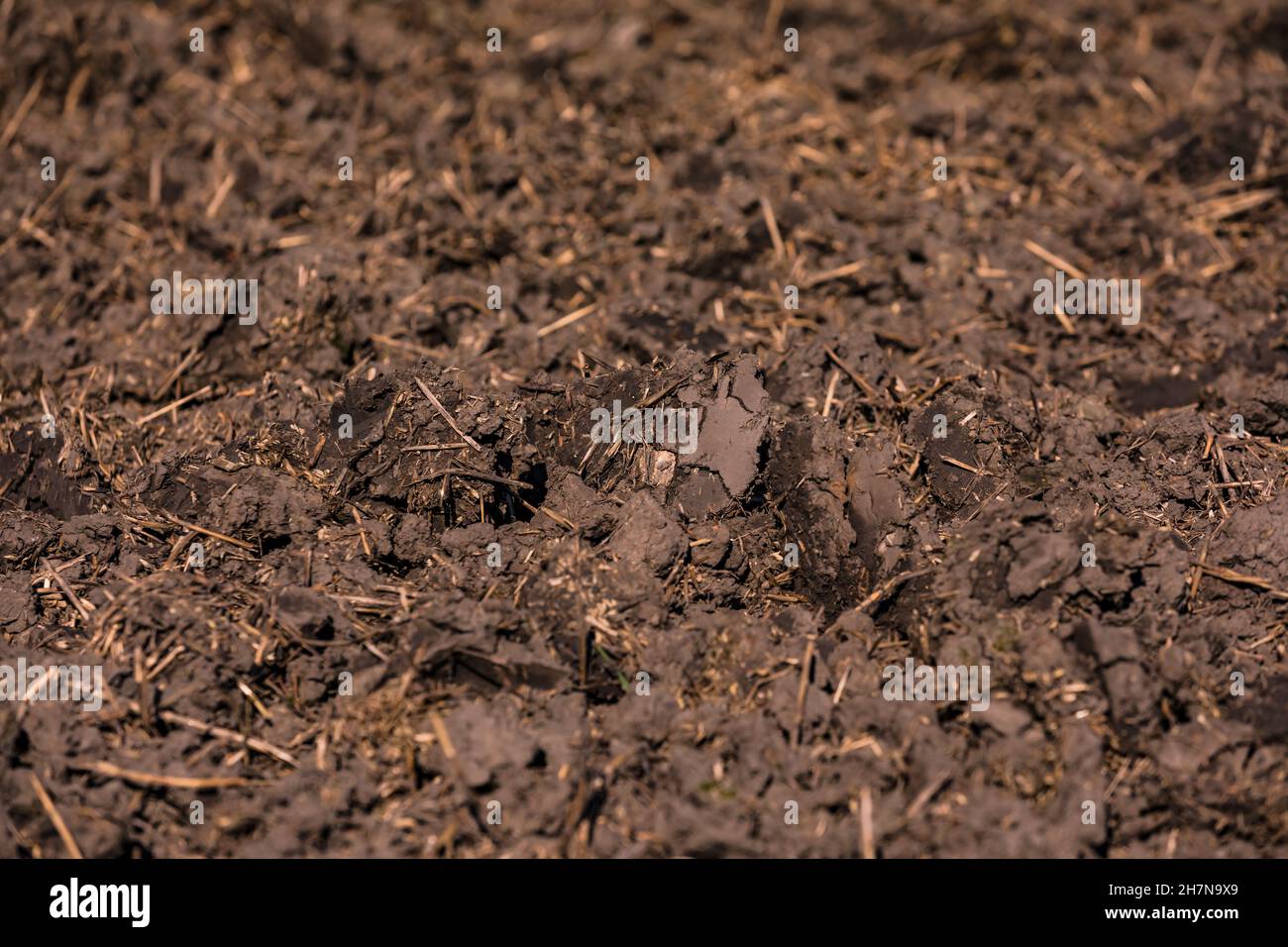 Clods of earth hi-res stock photography and images - Alamy