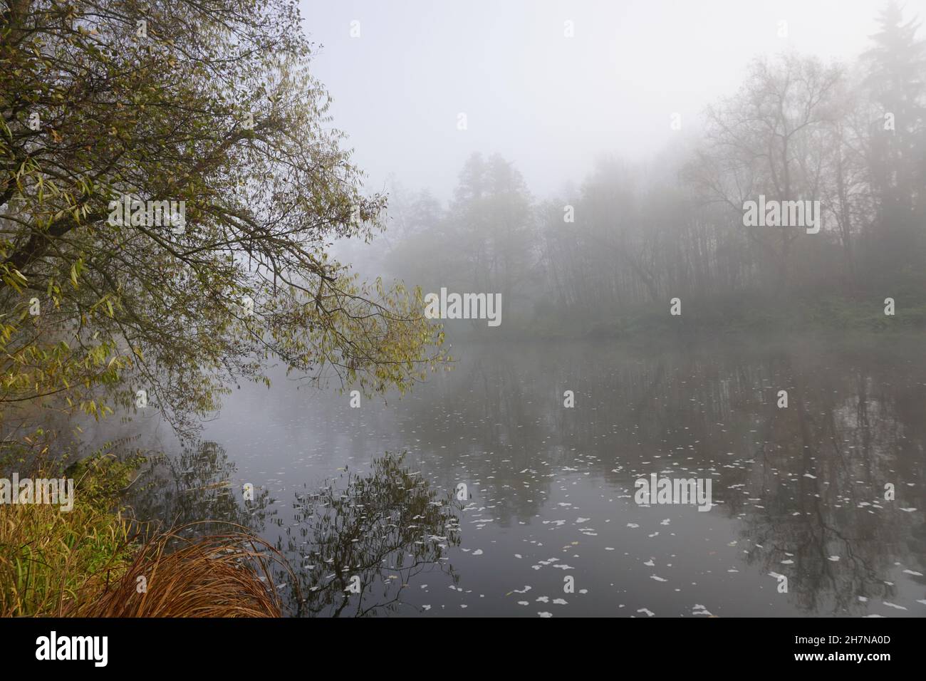 Excursion to explore the Sázava River Stock Photo - Alamy