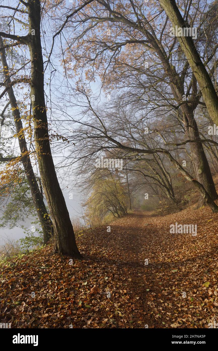 Sazava River High Resolution Stock Photography and Images - Alamy