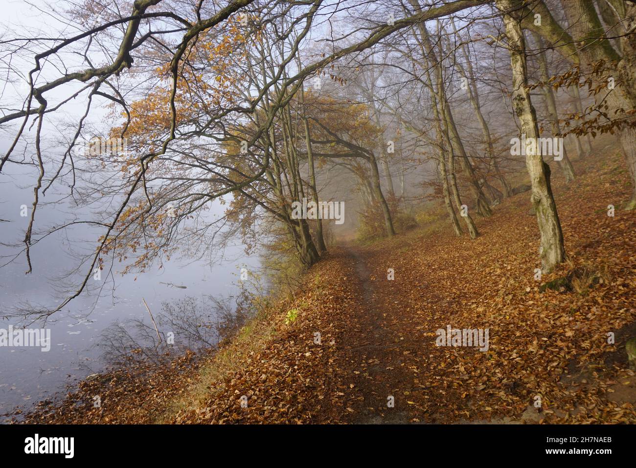 Excursion to explore the Sázava River Stock Photo - Alamy