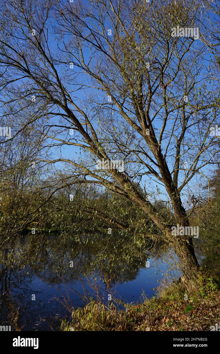 Sazava River High Resolution Stock Photography and Images - Alamy
