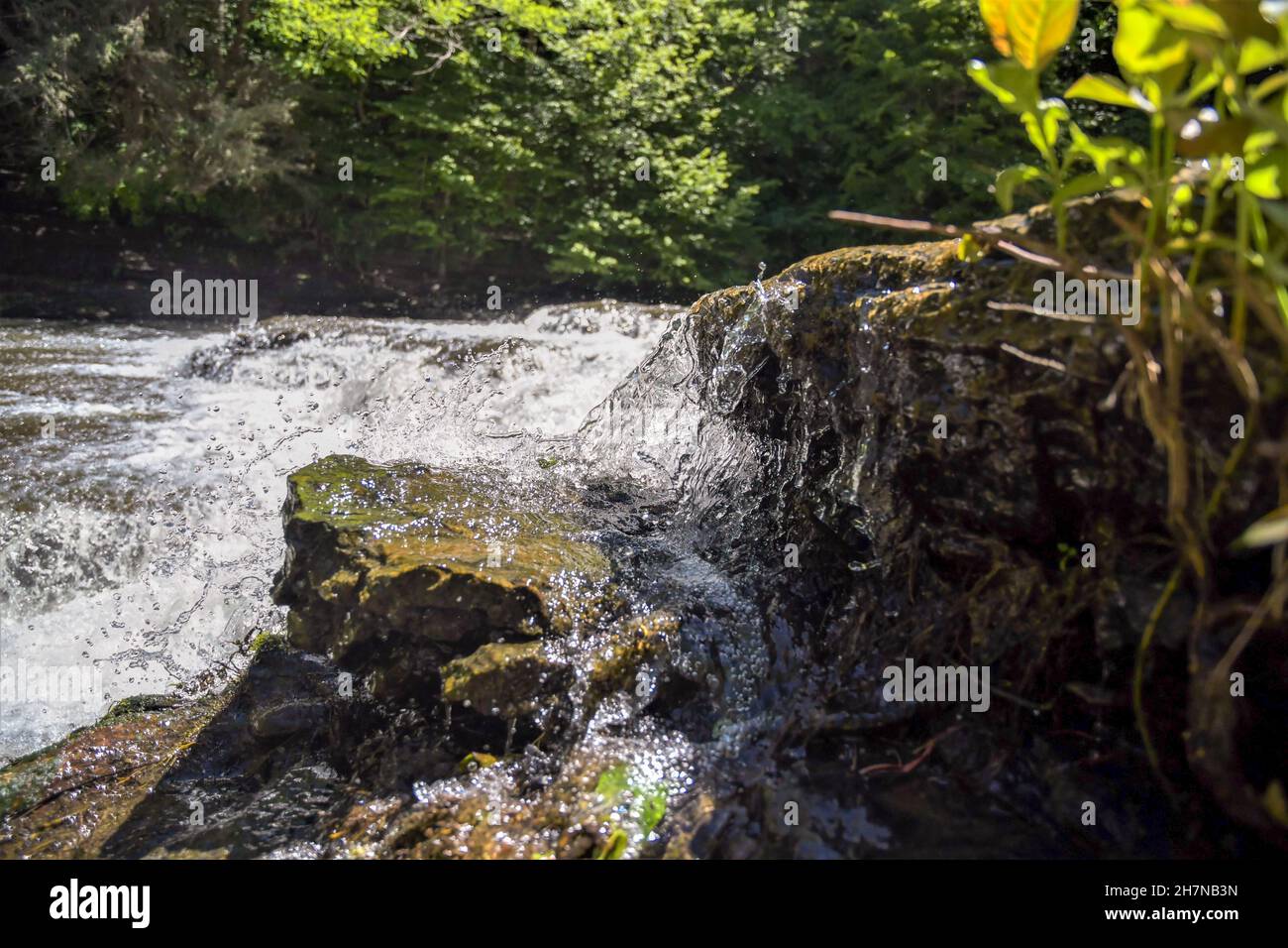 Cummins park hi-res stock photography and images - Alamy