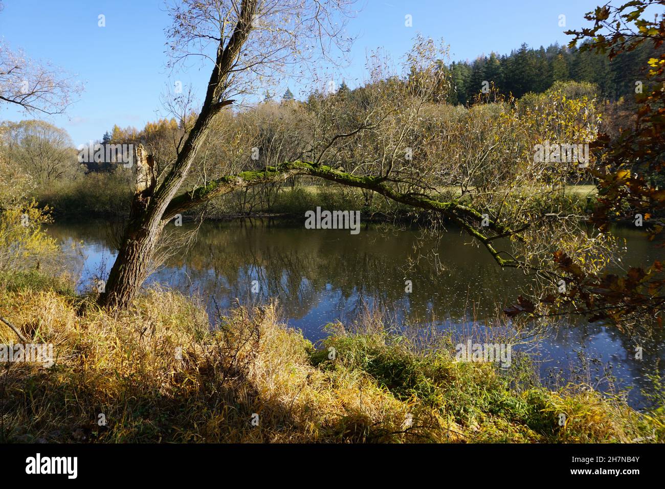 Excursion to explore the Sázava River Stock Photo - Alamy