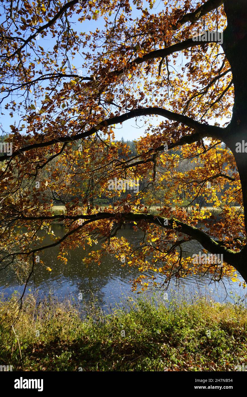 Excursion to explore the Sázava River Stock Photo - Alamy
