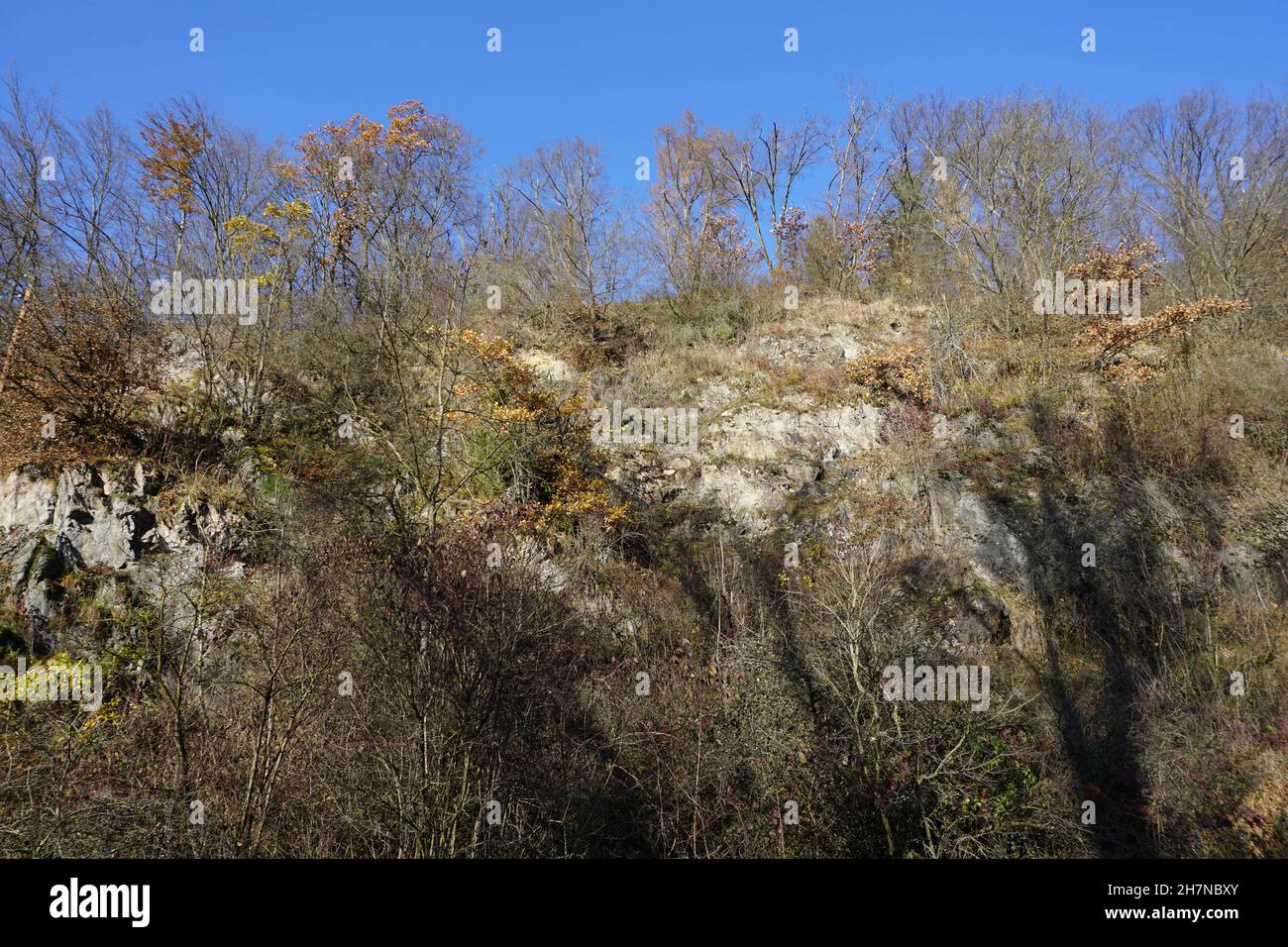 Excursion to explore the Sázava River Stock Photo - Alamy