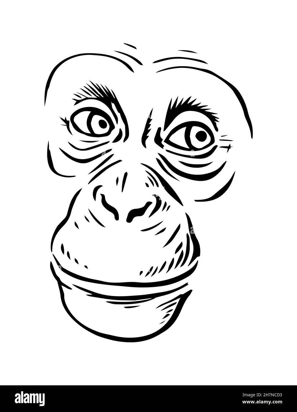 Chimpanzee Face Drawing