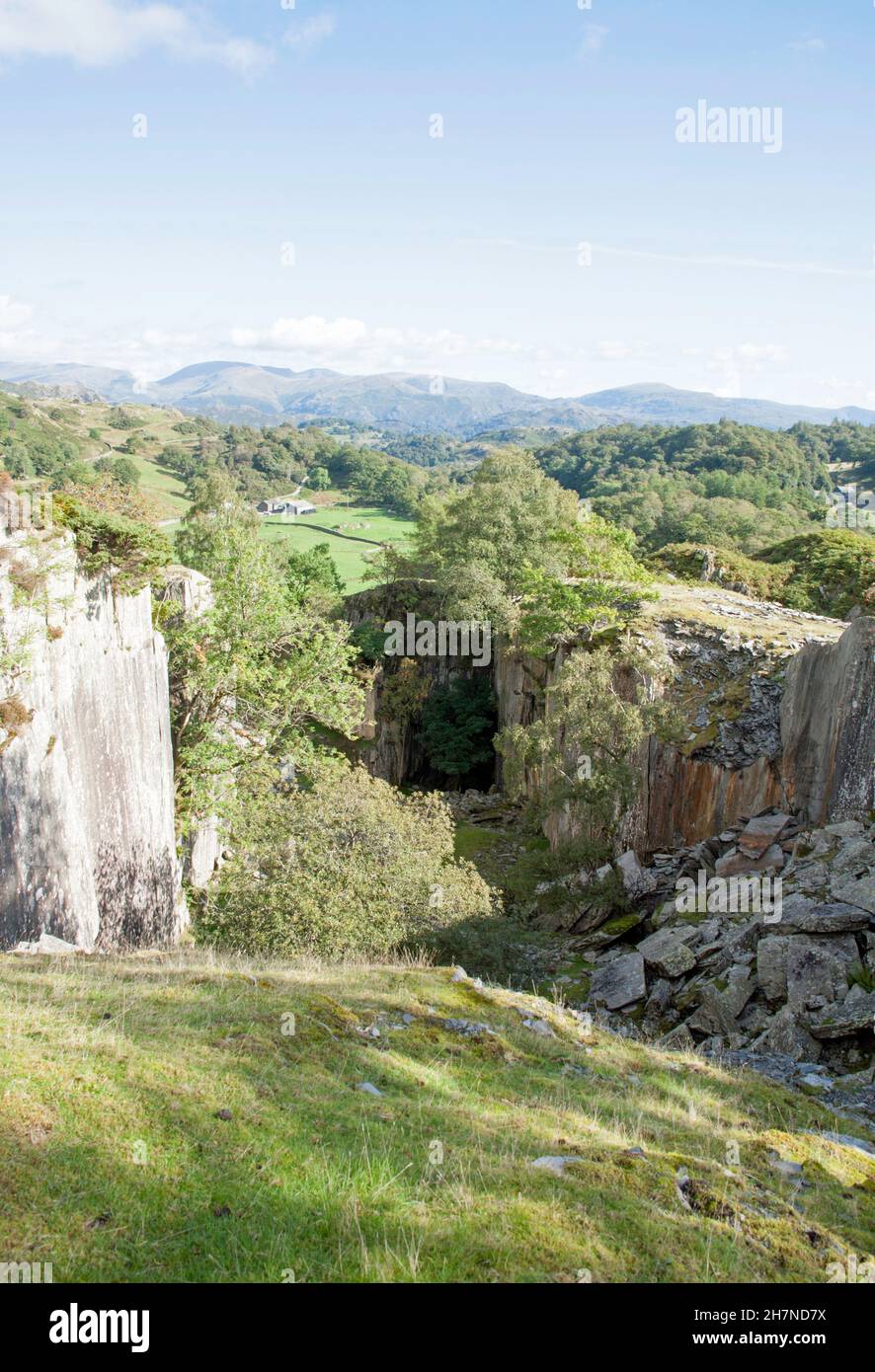 Penny rigg hi-res stock photography and images - Alamy