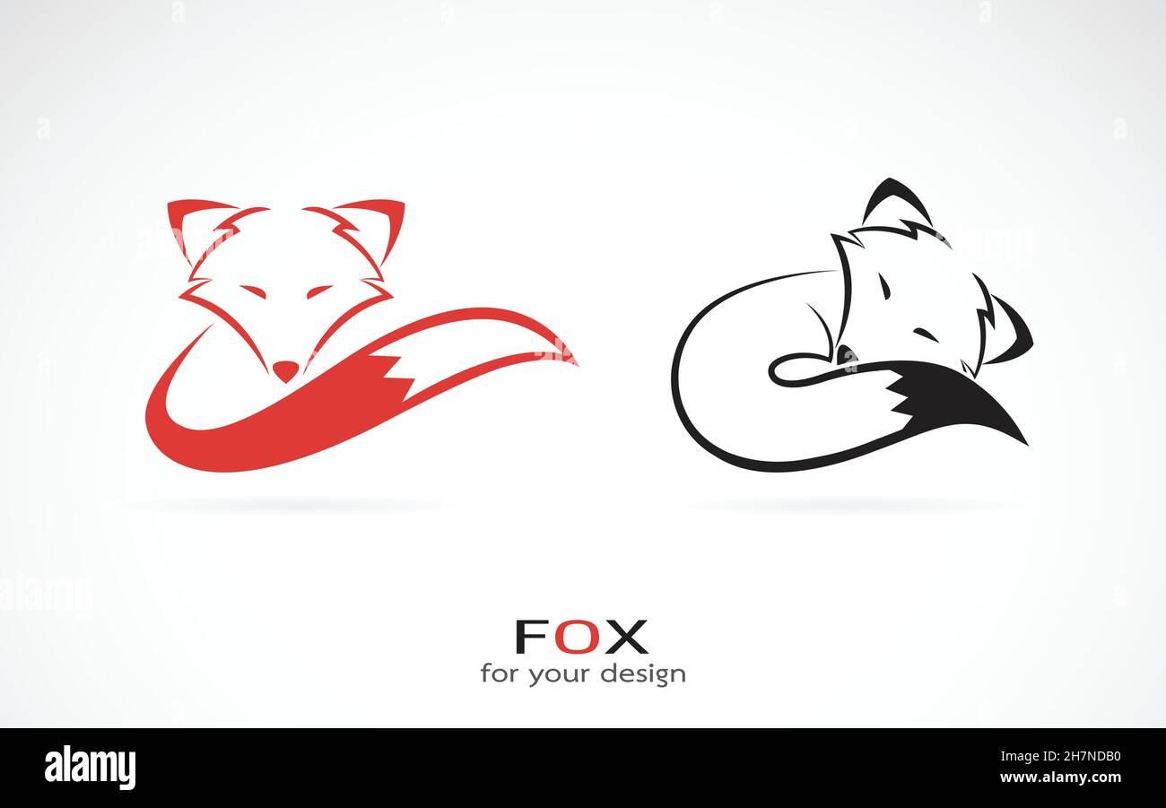 Vector of fox design on white background. Easy editable layered vector ...