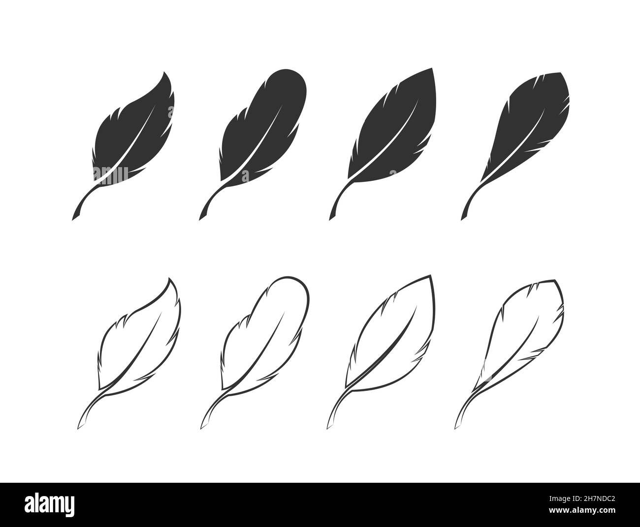 Vector group of feather on white background. Easy editable layered ...