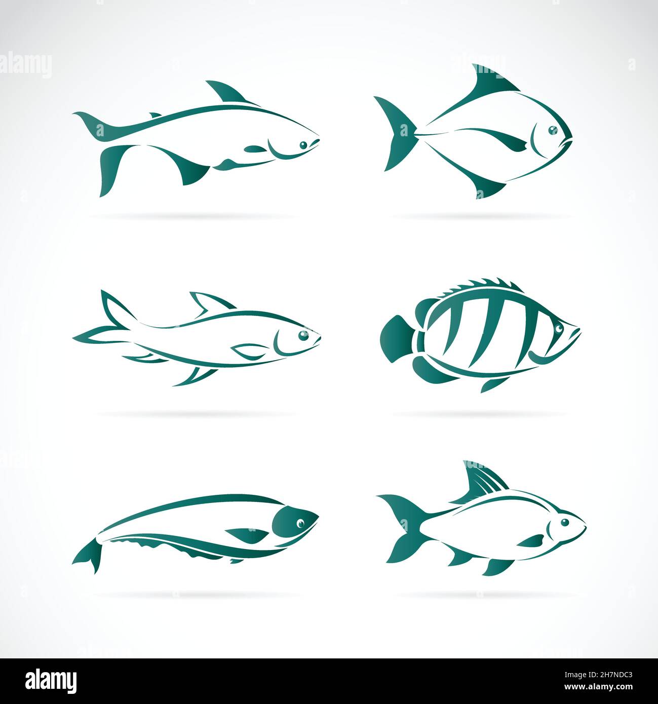 Vector group of fish on white background. Easy editable layered vector ...