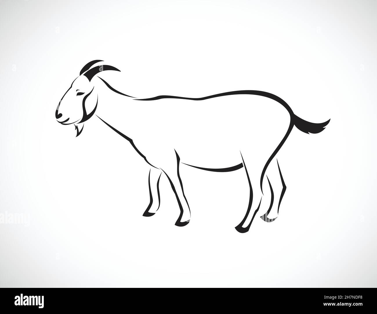 Vector of a goat on white background. Easy editable layered vector ...
