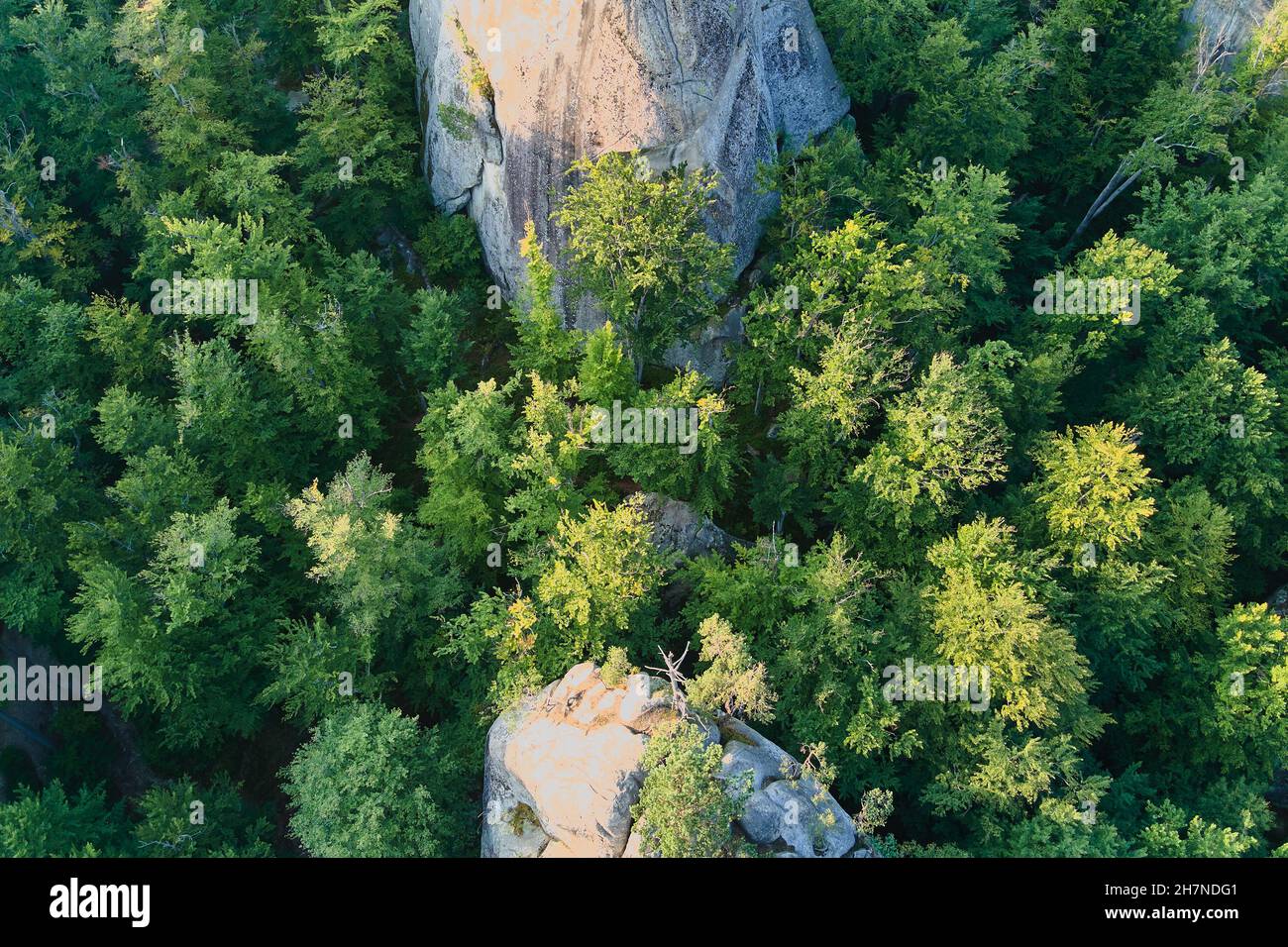 Aerial view of bright landscape with green forest trees and big rocky ...