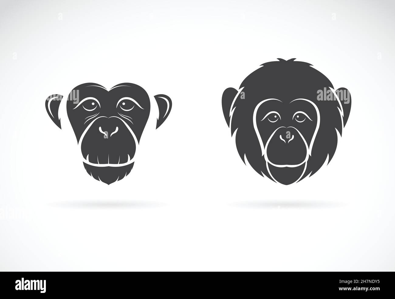 Vector of monkey face on white background. Easy editable layered vector ...