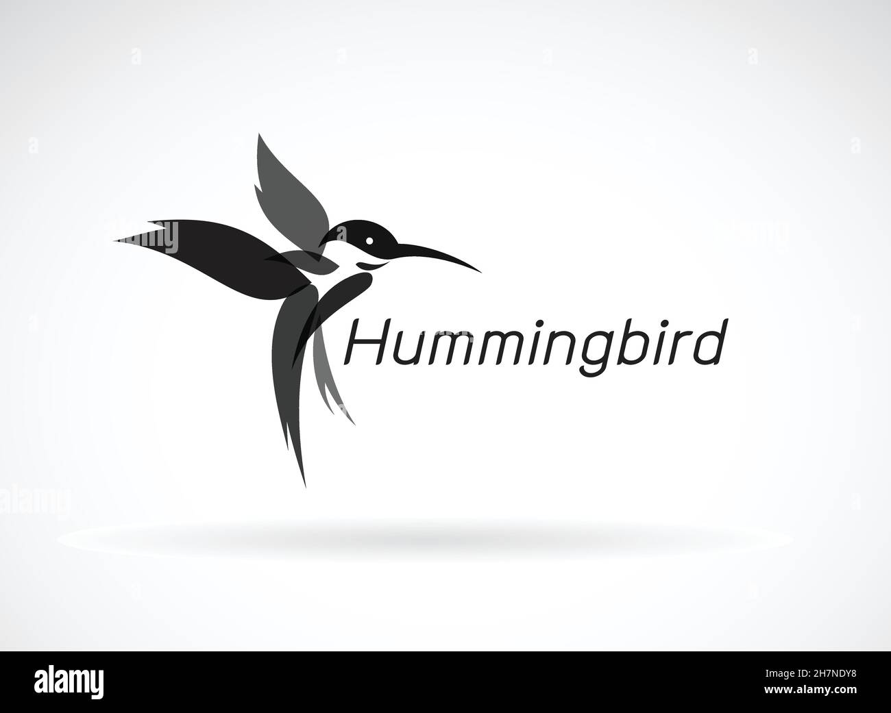 Vector of hummingbird design on white background., Wild Animals. Birds ...