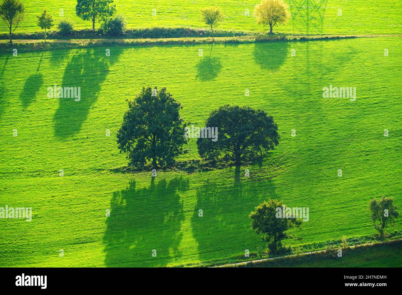 Scattered trees hi-res stock photography and images - Alamy