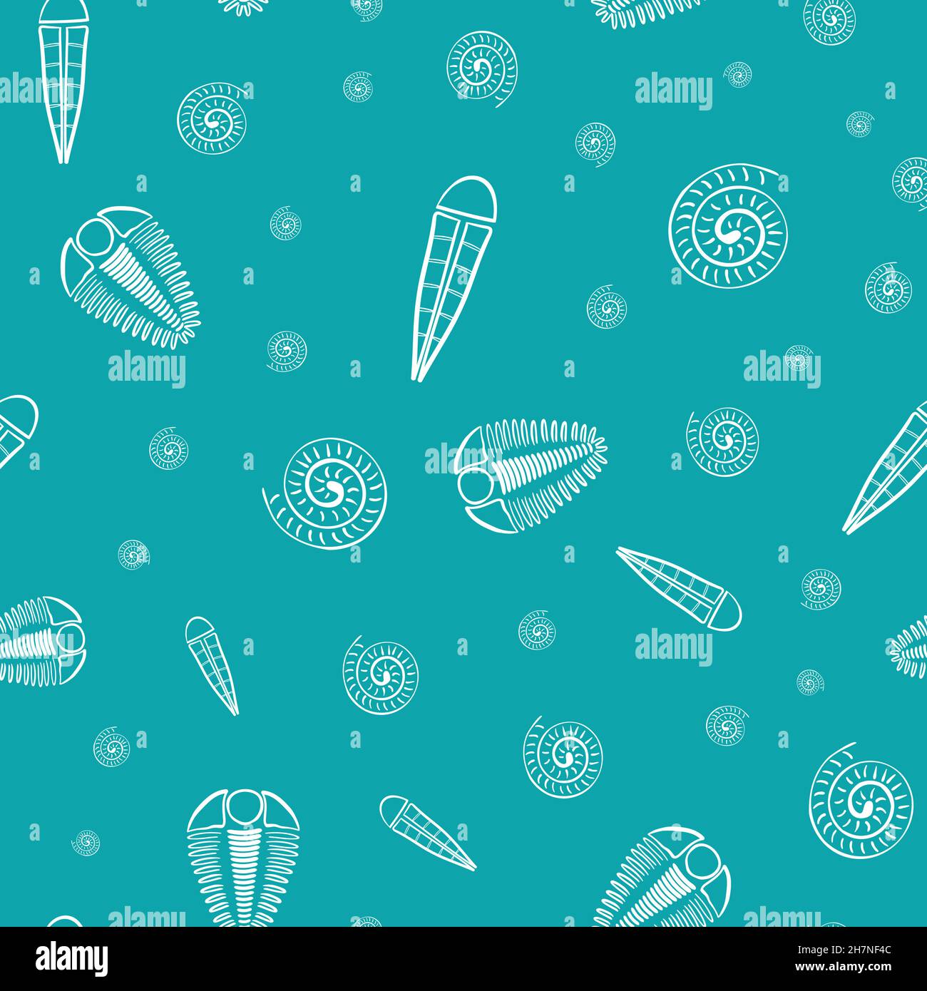 Haplophrentis hi-res stock photography and images - Alamy