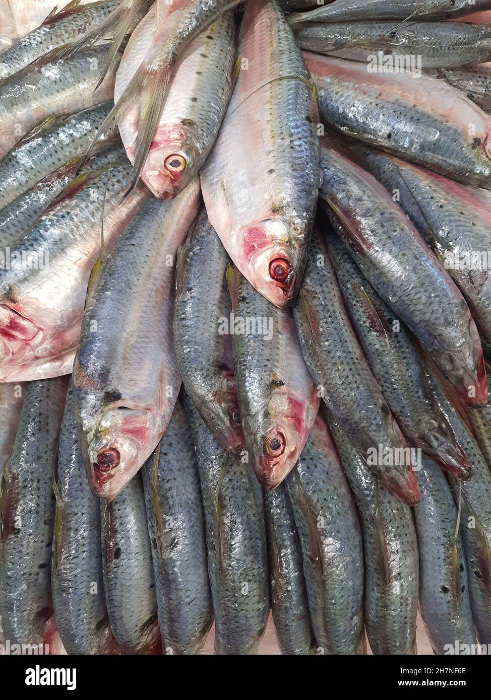 Whole fish for sale in a market. View from above Stock Photo - Alamy