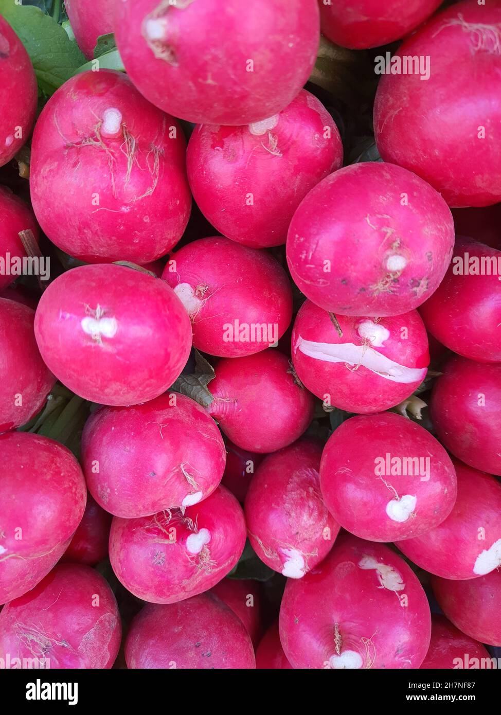 Radish: at street fair. It is a vegetable cultivated since ancient ...