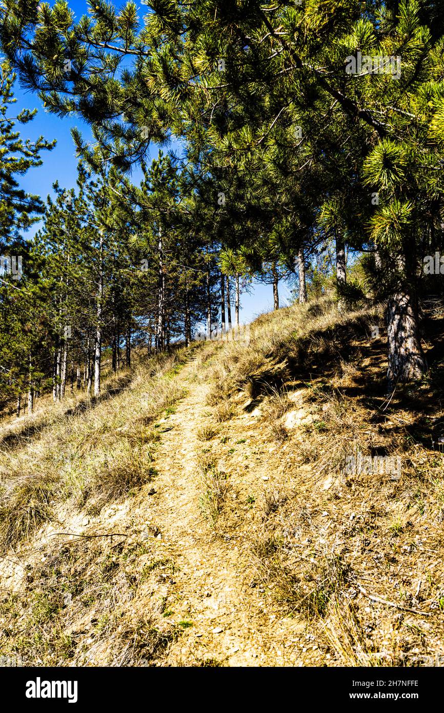 Vertical shot pathway up hi-res stock photography and images - Alamy