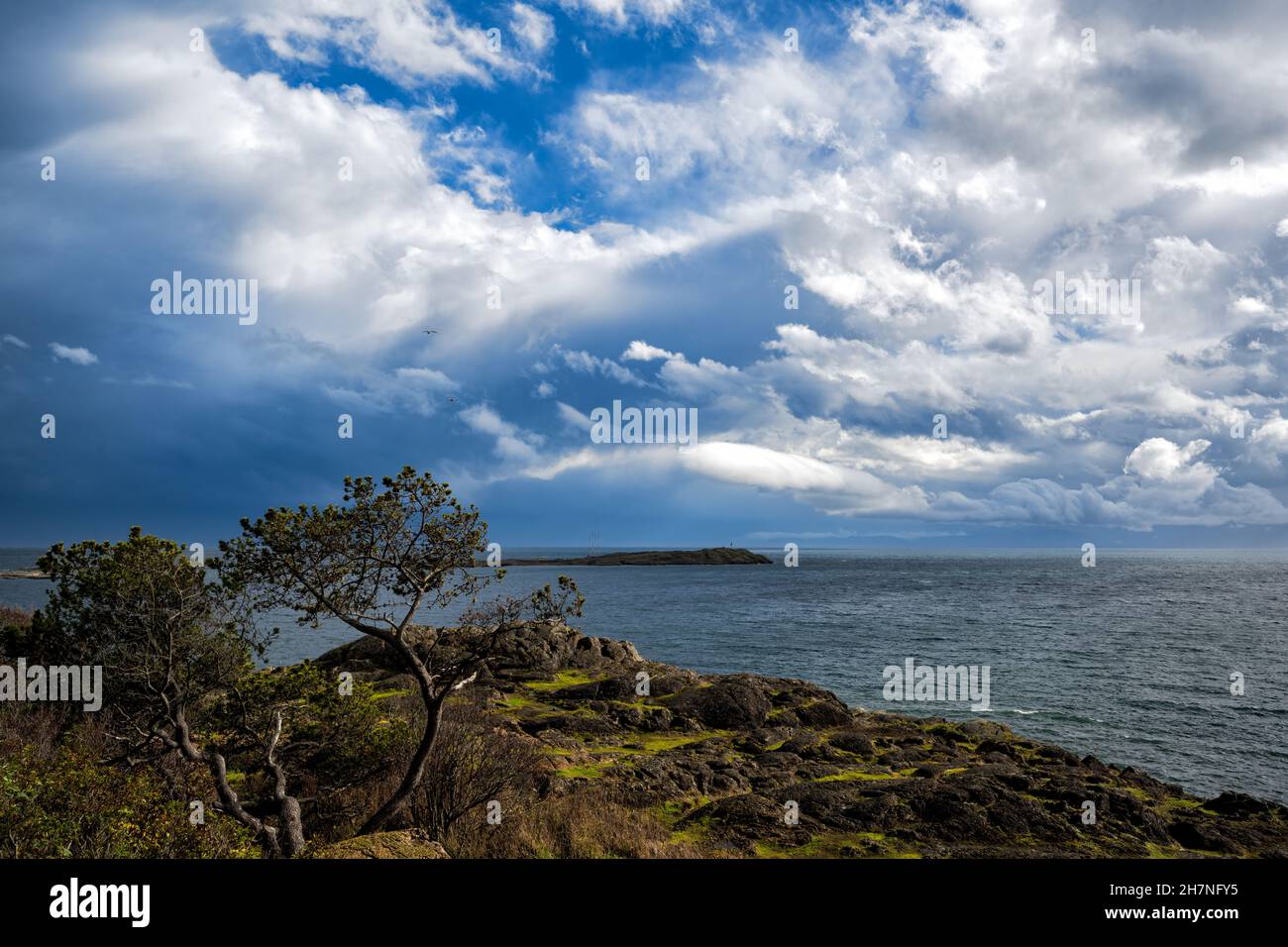 Tranquil scenery of the Victoria Waterfront along Dallas Road, Victoria ...