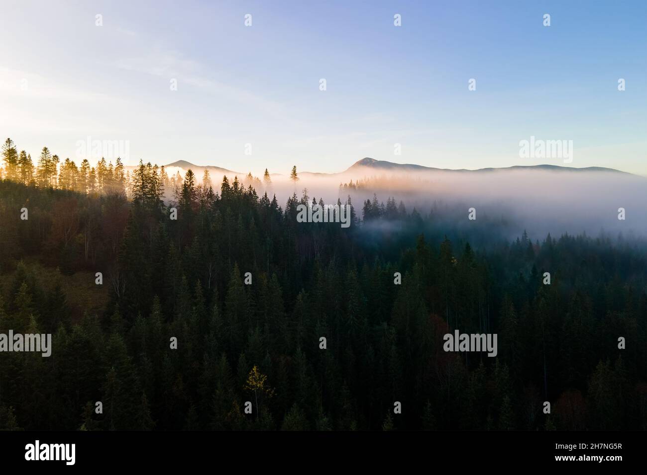 Sunset through canopies hi-res stock photography and images - Alamy