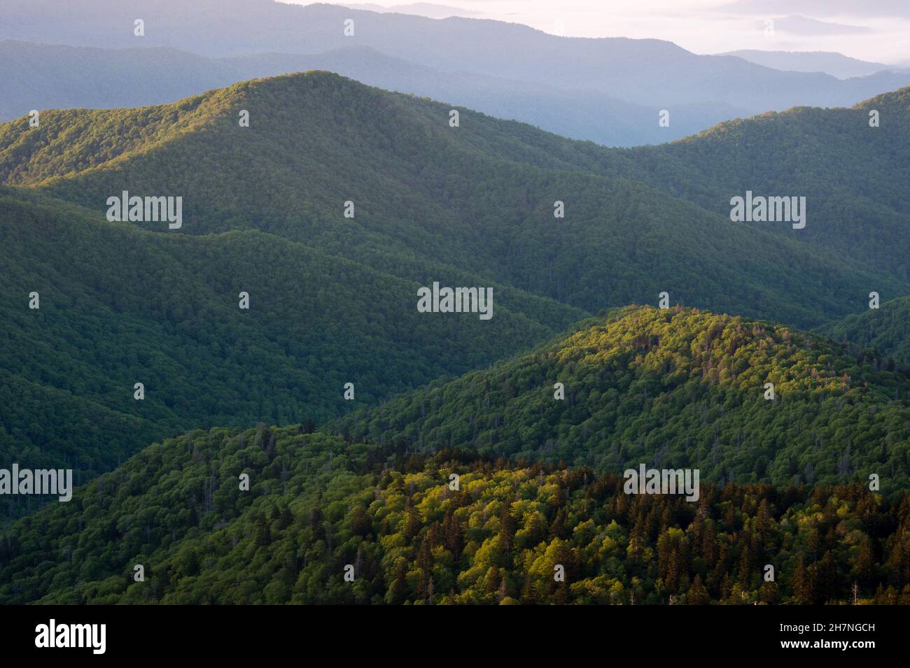 Beautiful scenery of Great Smoky Mountains National Park in Tennessee ...