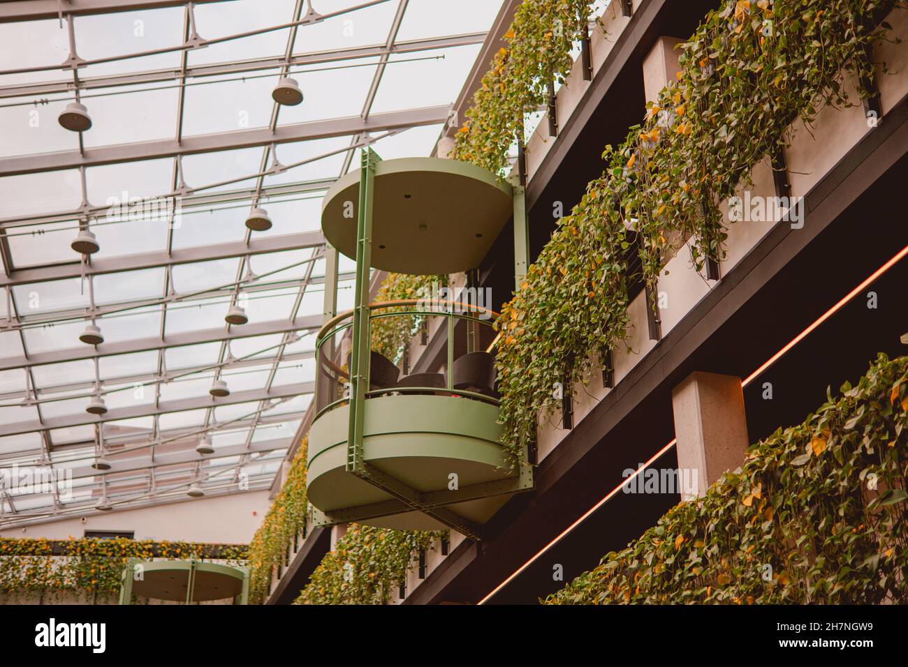 Ceiling with vines hi-res stock photography and images - Alamy