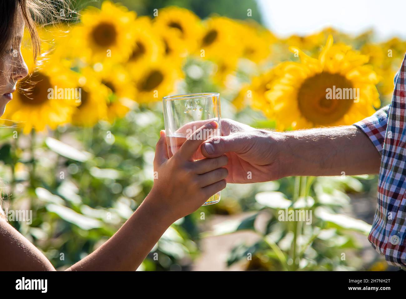 The child and the father are drinking and giving water in a glass. Selective focus. Kid Stock ...