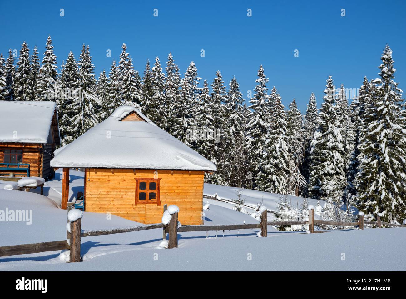 Small wooden house covered with fresh fallen snow surrounded with tall ...
