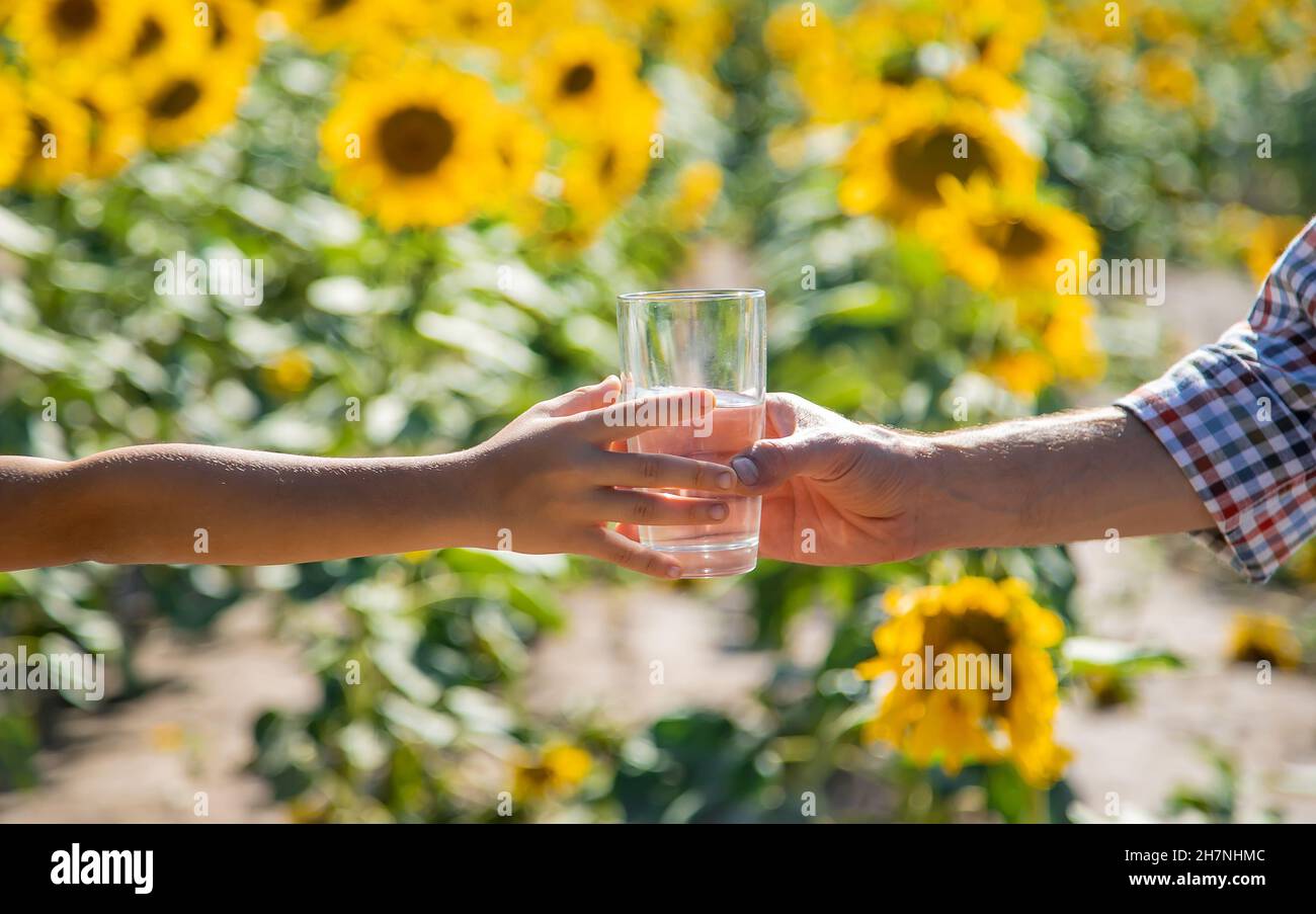 The child and the father are drinking and giving water in a glass. Selective focus. Kid Stock ...