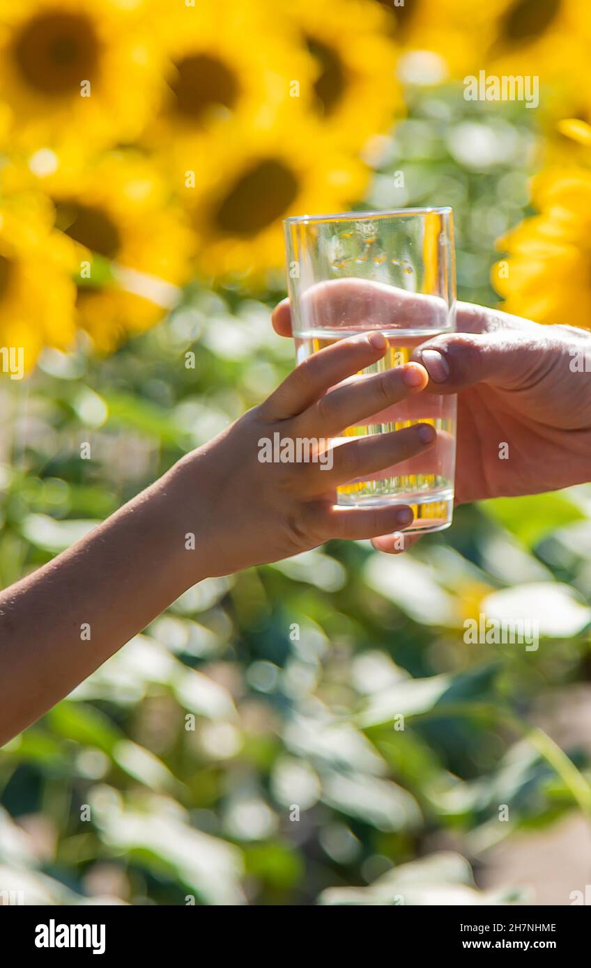 The child and the father are drinking and giving water in a glass. Selective focus. Kid Stock ...