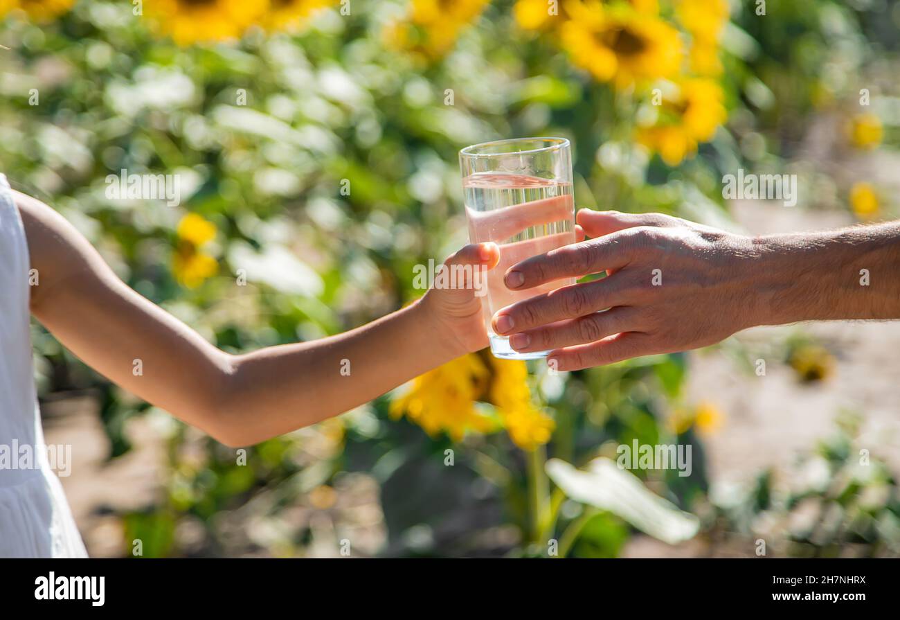 The child and the father are drinking and giving water in a glass. Selective focus. Kid Stock ...