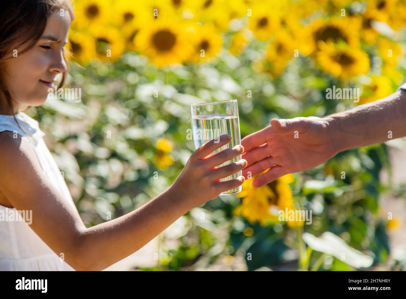 The child and the father are drinking and giving water in a glass. Selective focus. Kid Stock ...