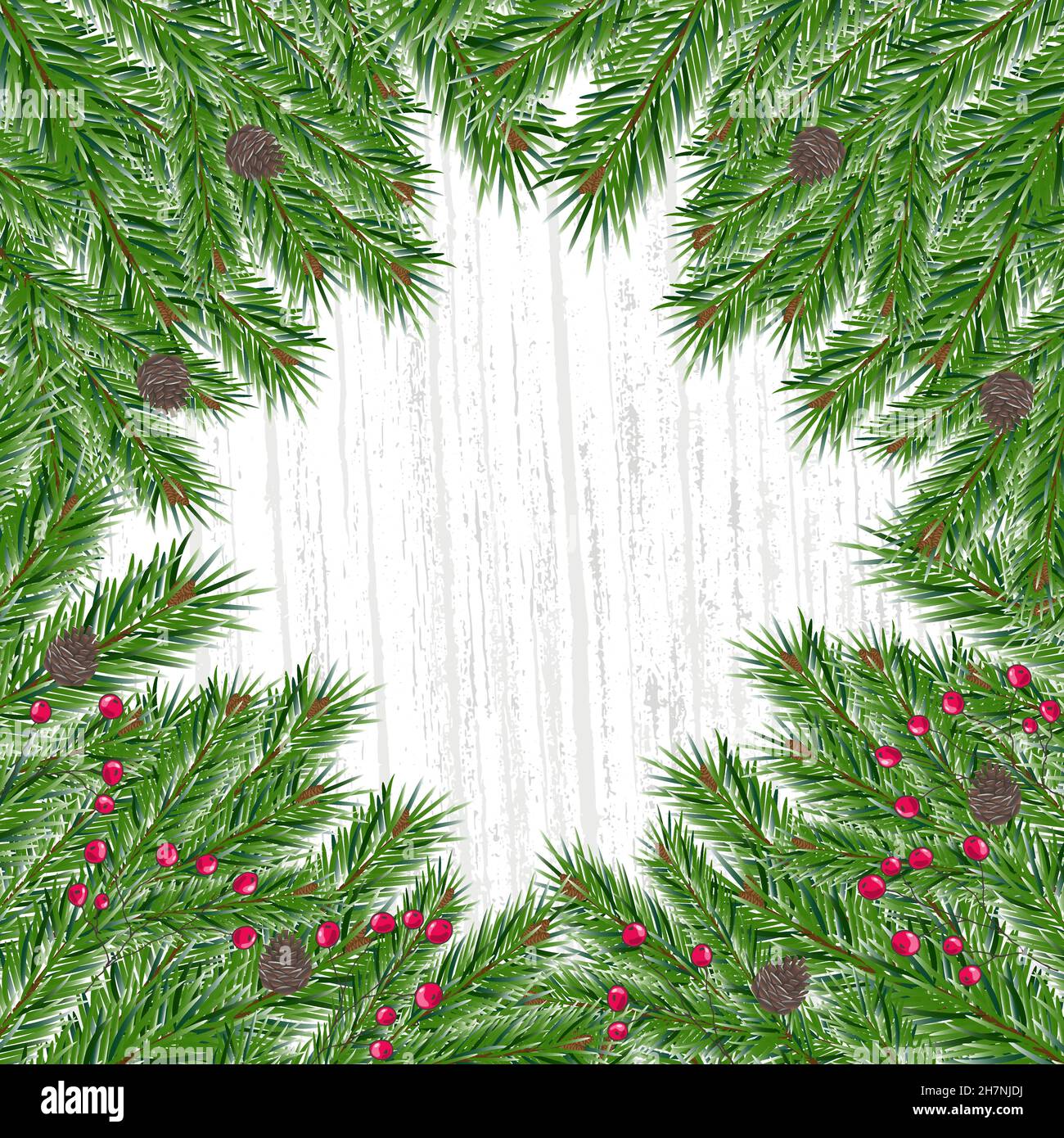 Abstract blank card with green spruce branches, holly berries and cones ...