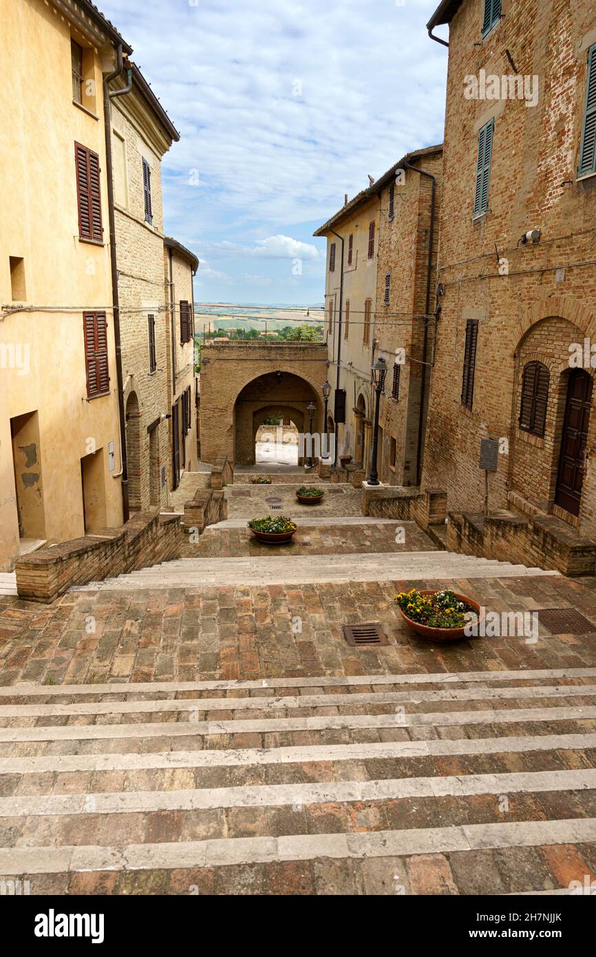 Ostra vetere hi-res stock photography and images - Alamy