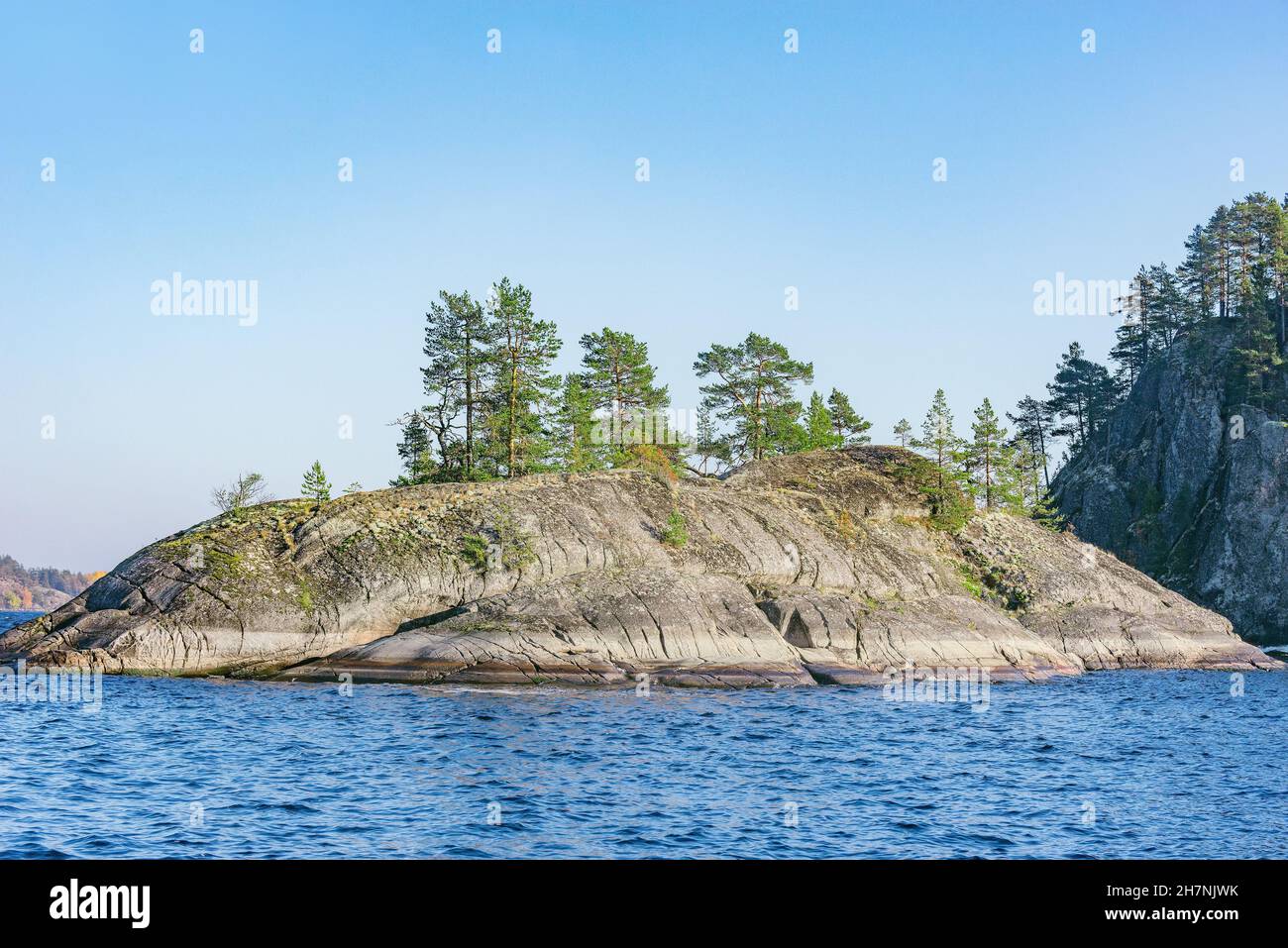 Pine trees on the cliffs of Lake Ladoga at evening time. Republic of ...