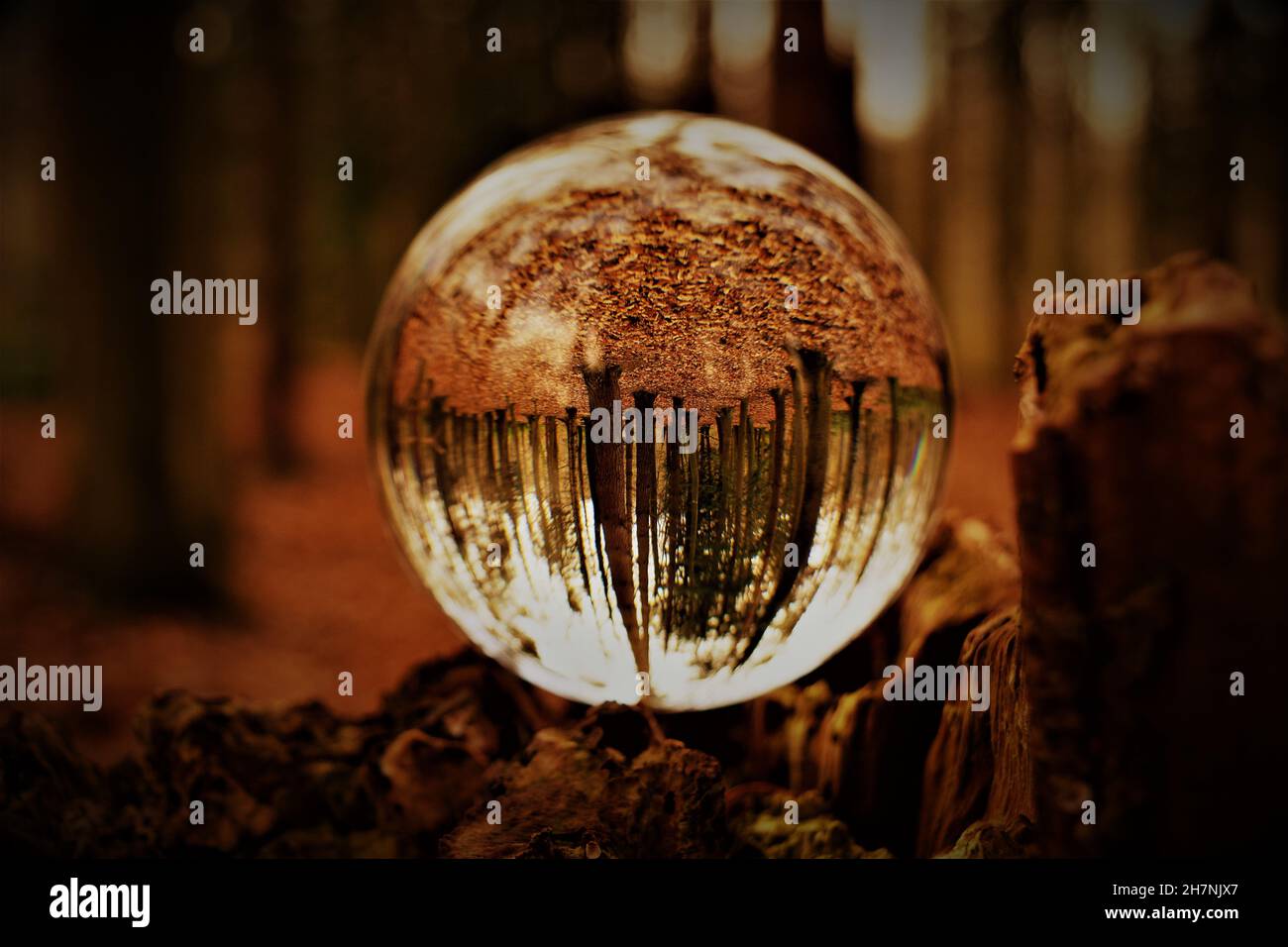 Lens ball artwork Stock Photo - Alamy