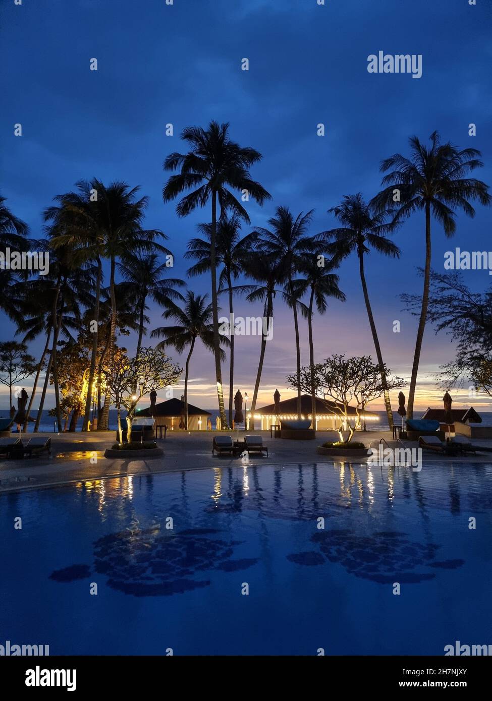 Luxury swimming pool with palm trees at night during sunset in Thailand ...