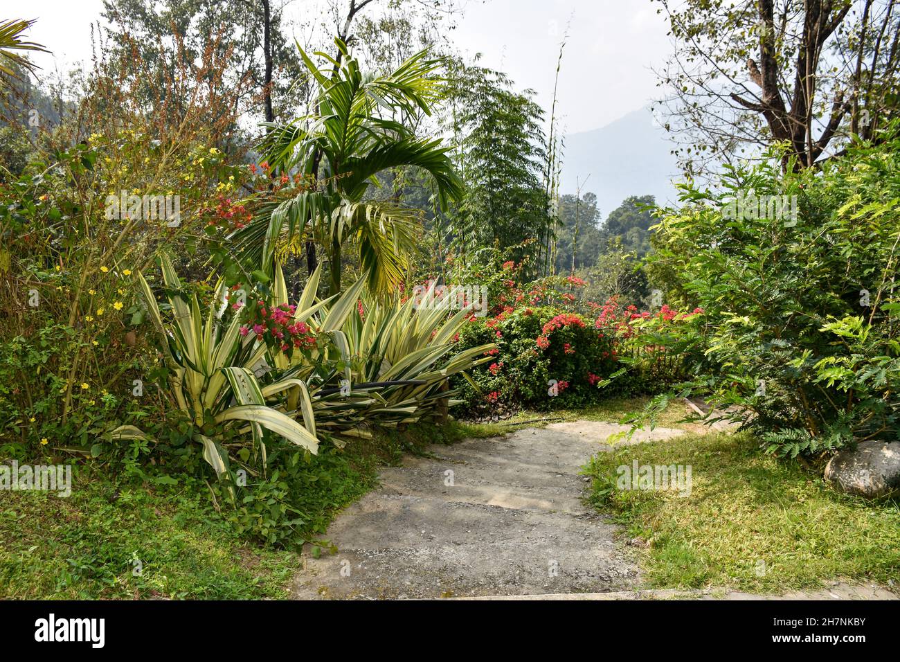 Beautiful pathways with green grassy ambiance Stock Photo - Alamy