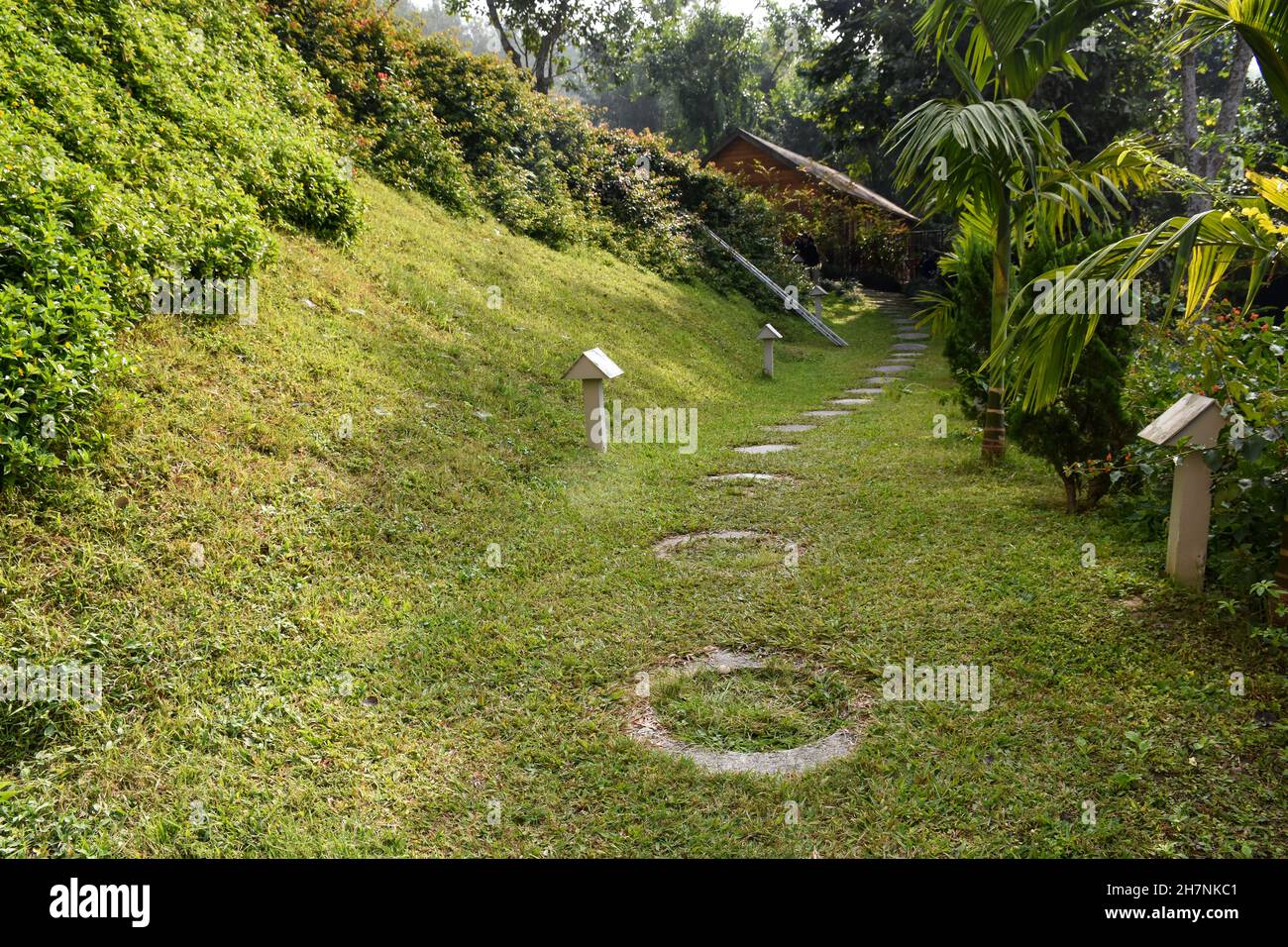 Beautiful pathways with green grassy ambiance Stock Photo - Alamy