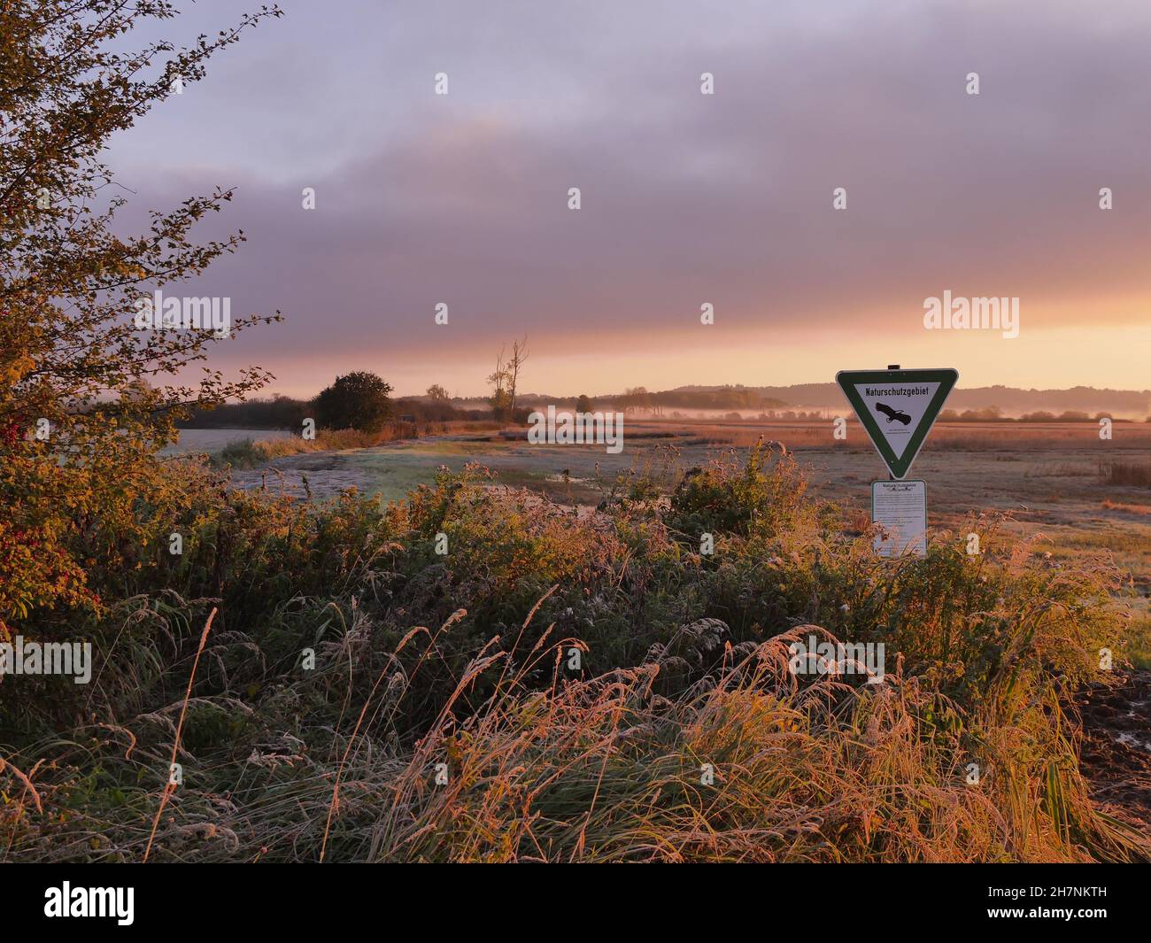 Ampermoos, Amper Bog, River Valley Fen Near Lake Ammersee In Upper ...