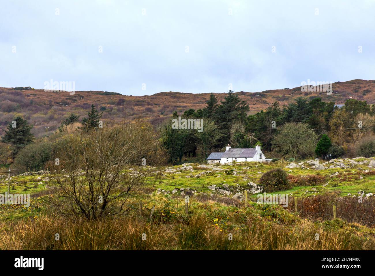 Rural farm cottage, Ardara, County Donegal, Ireland in the rugged ...