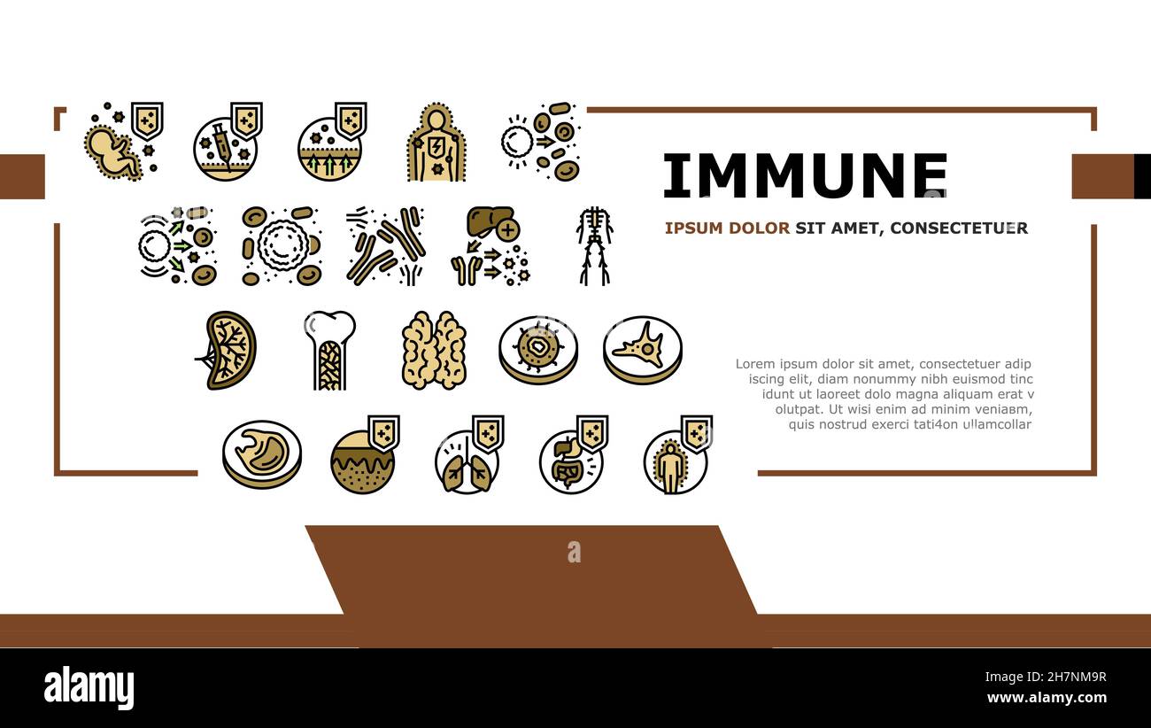 Immune System Disease And Treat Landing Header Vector Stock Vector