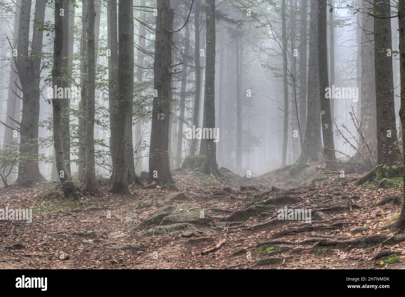 Bumpy trail hi-res stock photography and images - Alamy