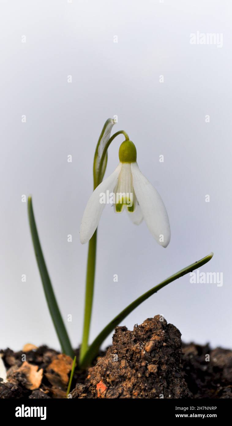 Seasonal marking hi-res stock photography and images - Alamy