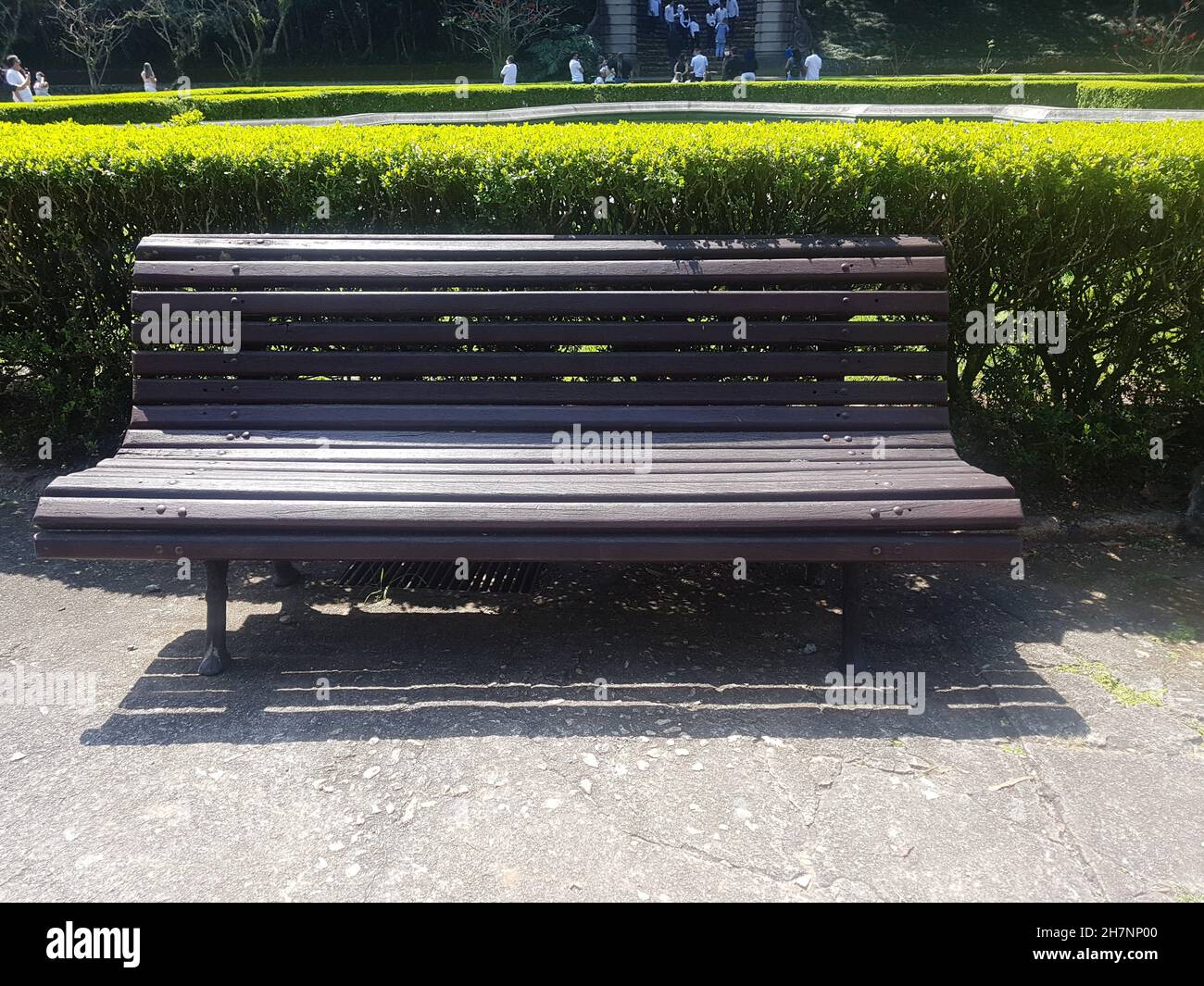 Wooden bench, isolated in a public park Stock Photo - Alamy