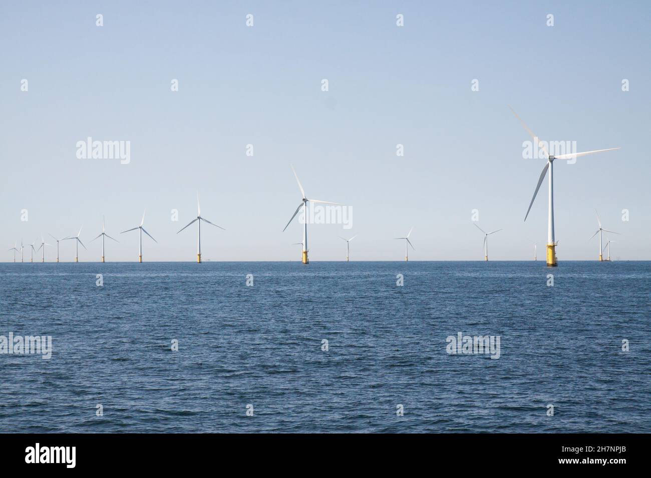 Offshore wind farm near IJmuiden, Netherlands Stock Photo - Alamy